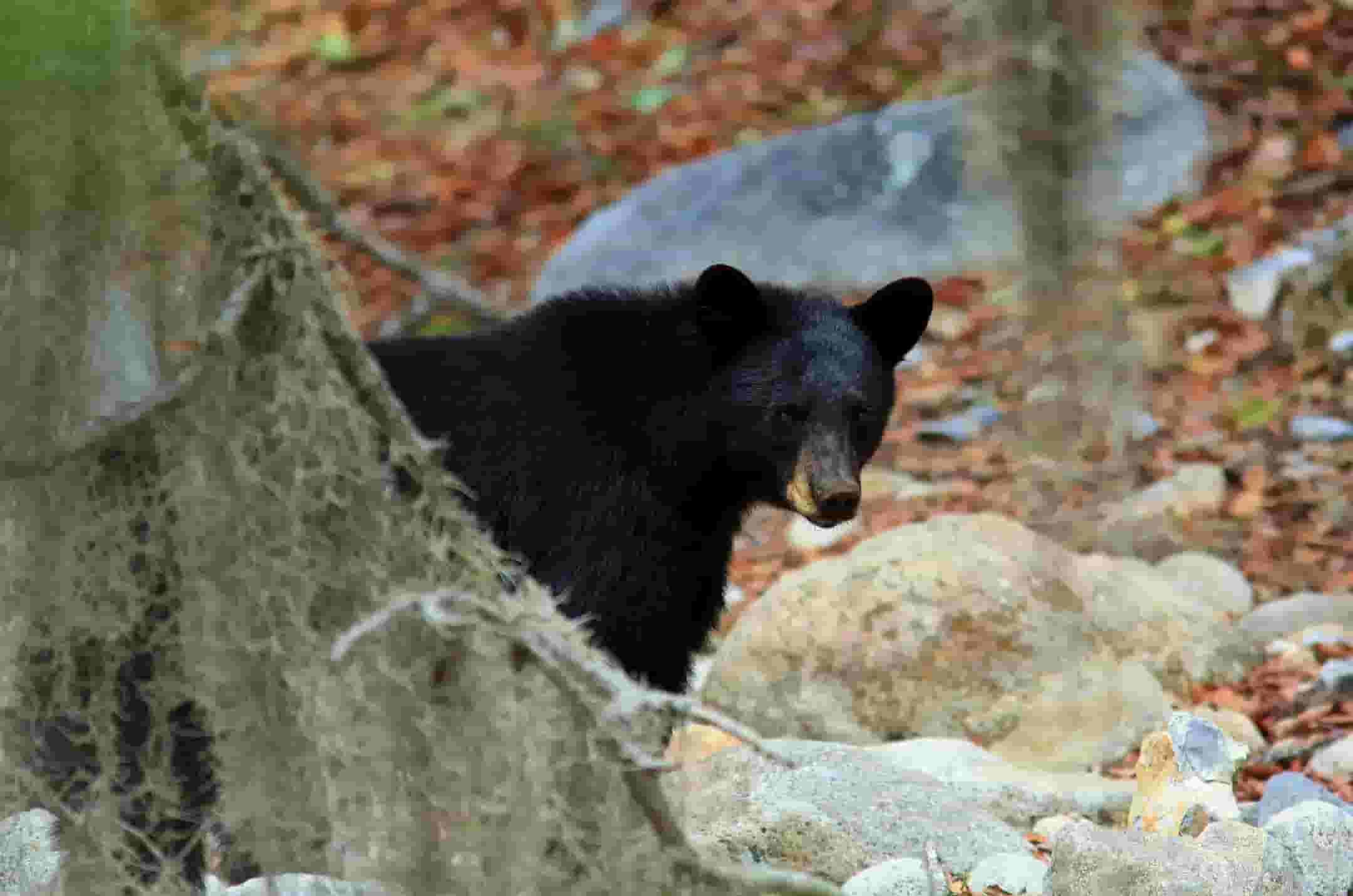 Parque Ecológico Chipinque