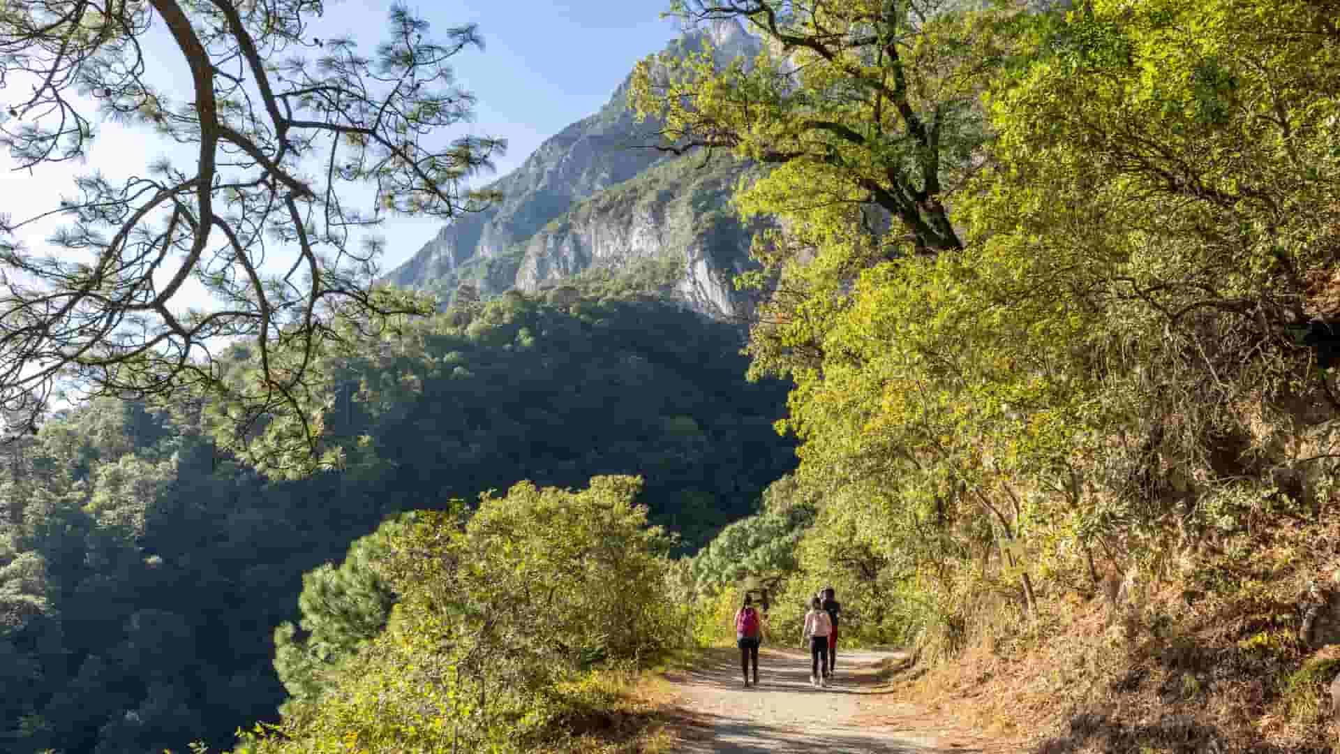 Parque Ecológico Chipinque