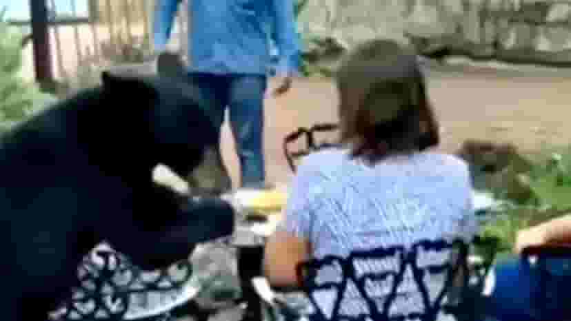 Parque Ecológico Chipinque