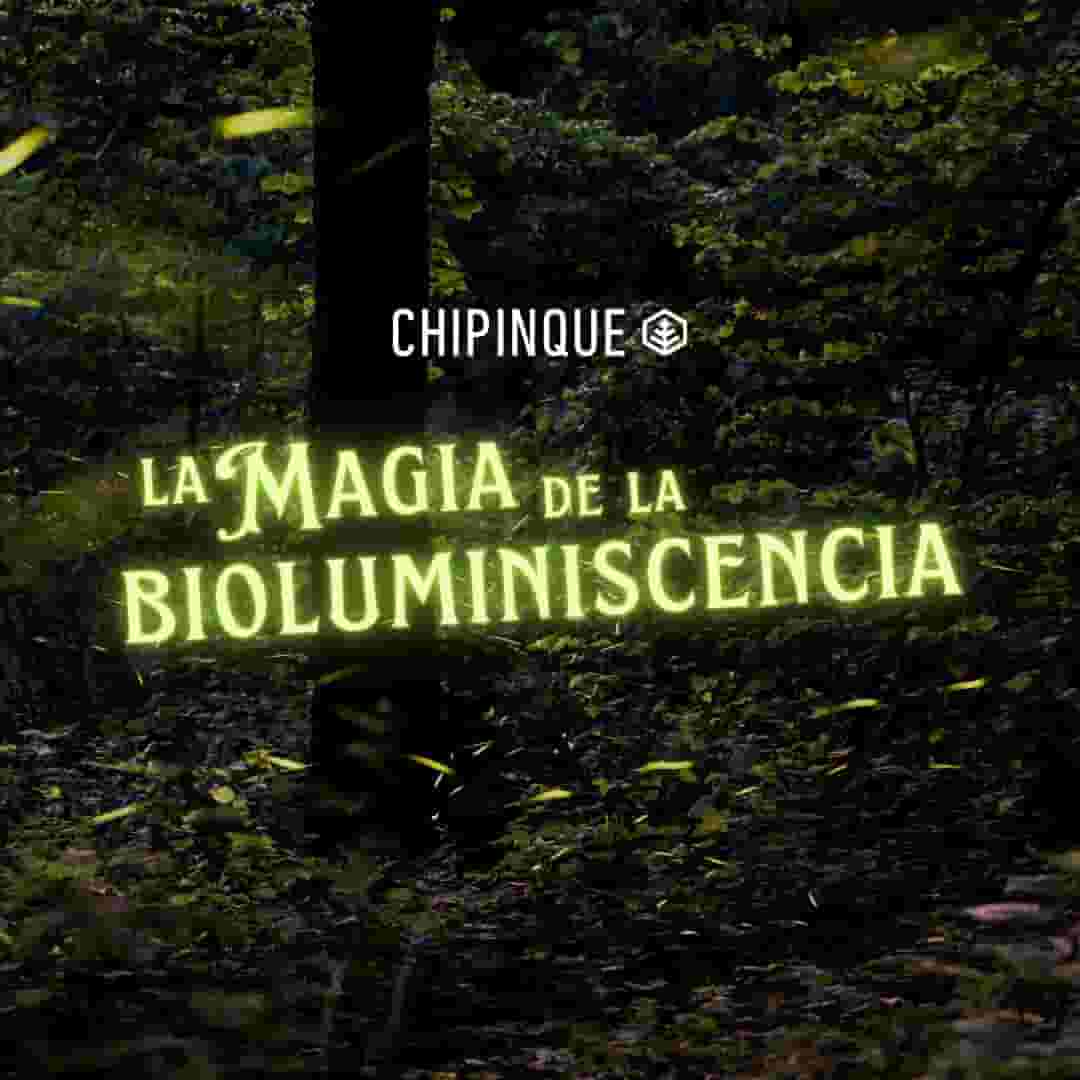 Parque Ecológico Chipinque