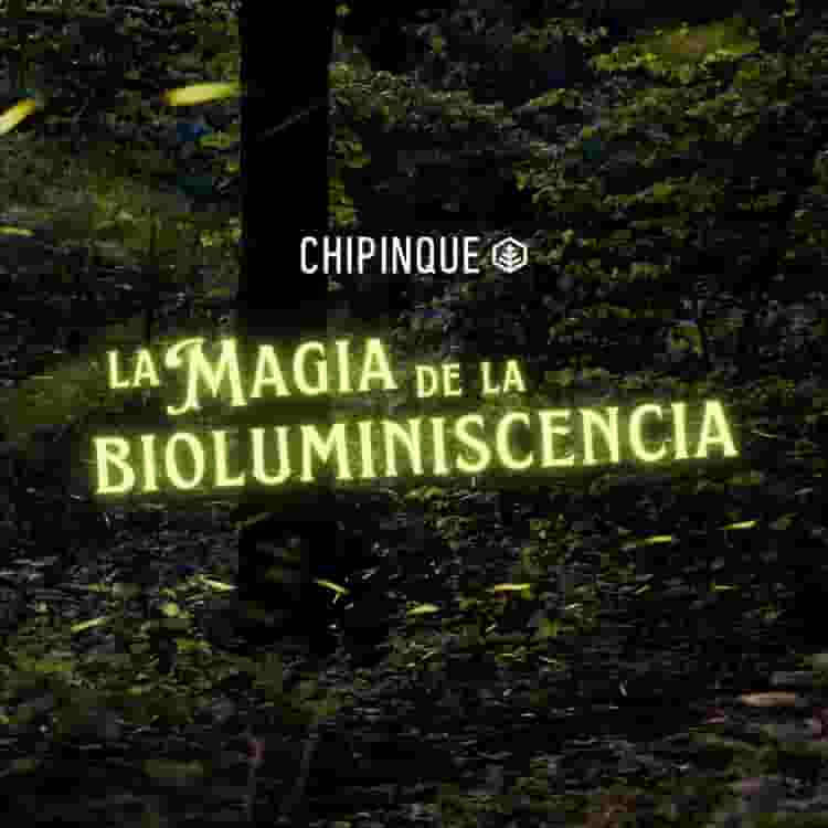 Parque Ecológico Chipinque