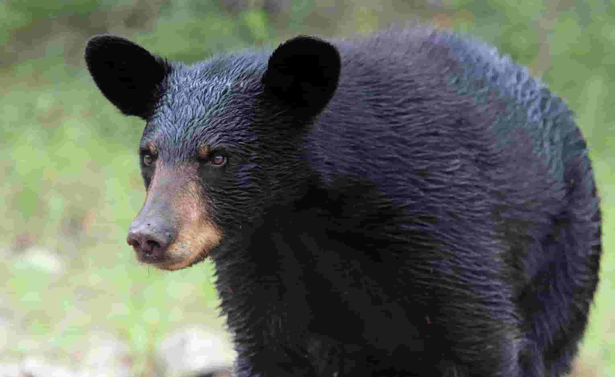Parque Ecológico Chipinque
