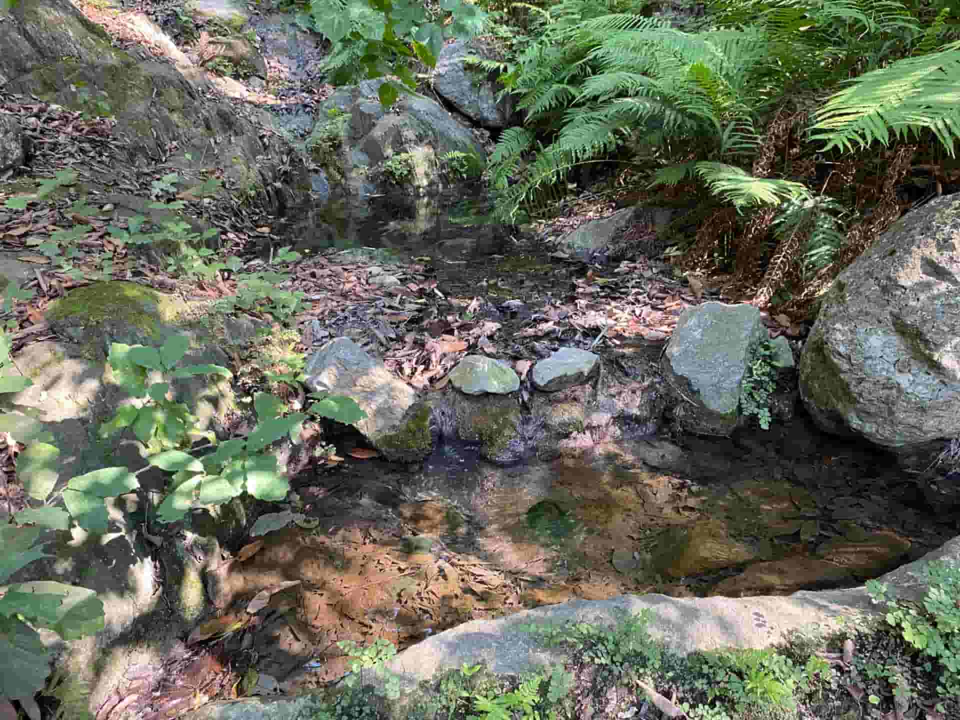 Parque Ecológico Chipinque