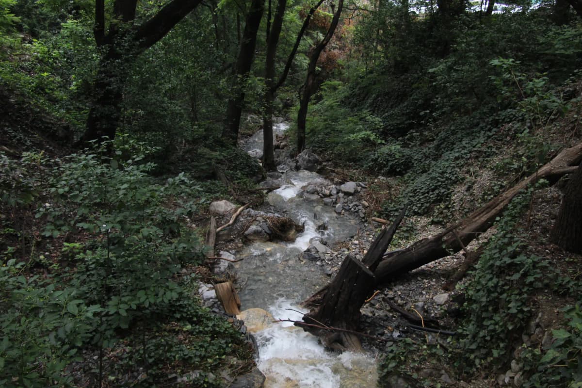 Parque Ecológico Chipinque