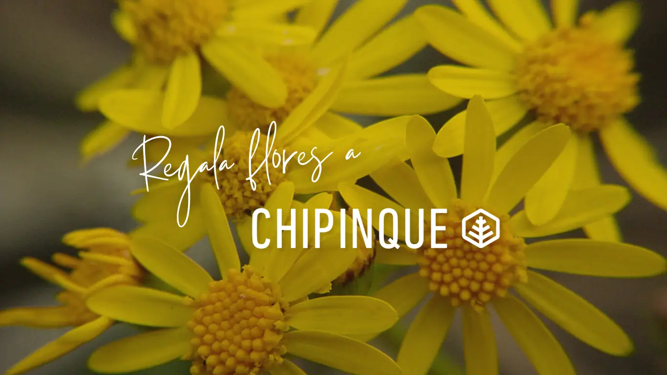 Parque Ecológico Chipinque